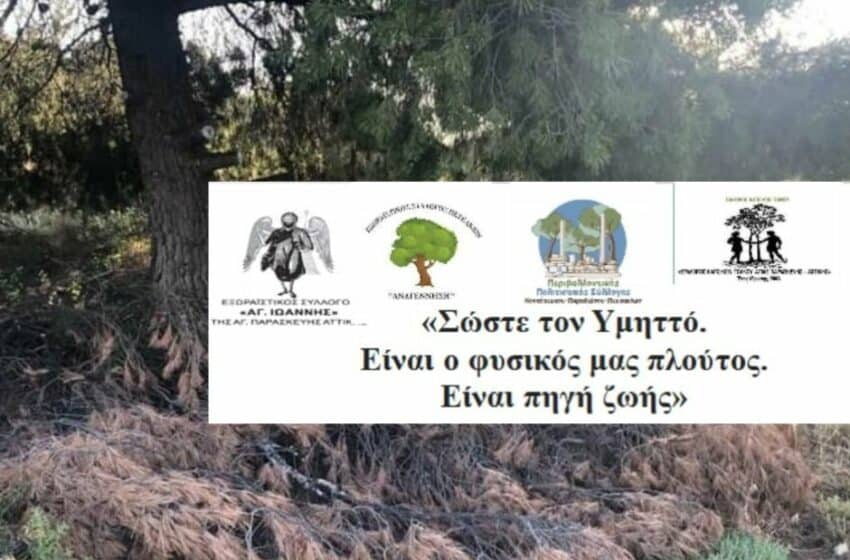 Επέτειος της βύθισης του α/τ “Ψαρά” στην Πάχη Μεγάρων - EKFRASI.net