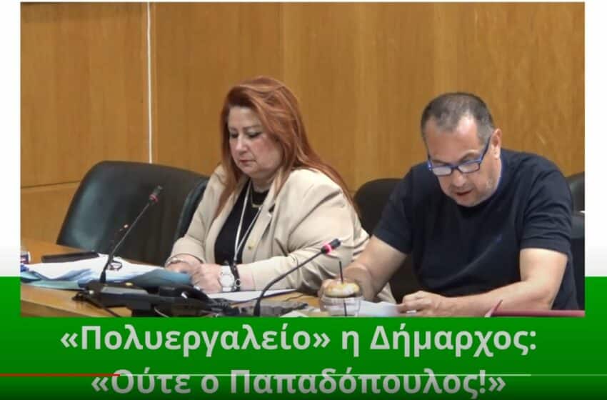 Δήμος Μεταμόρφωσης:Ξεκίνησαν οι αιτήσεις συμμετοχής στις ...