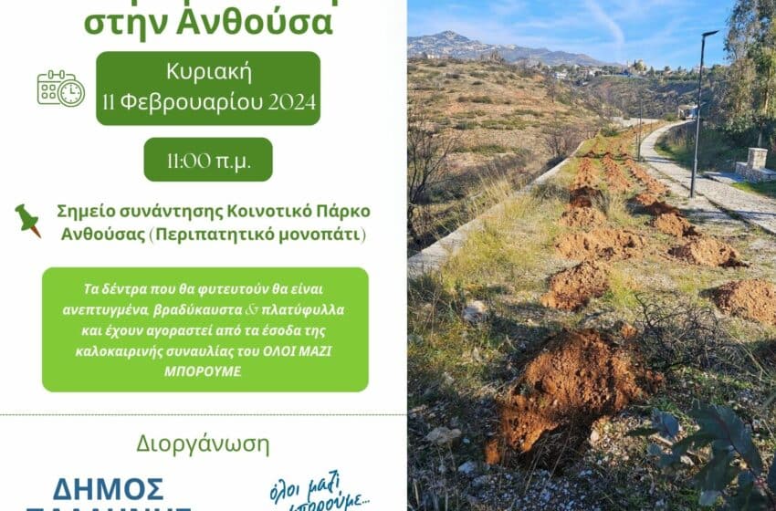 Δενδροφύτευση στην Ανθούσα το Σάββατο - EKFRASI.net