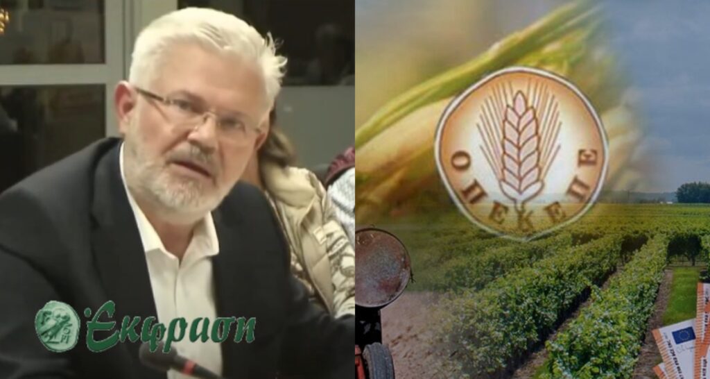 Γ. Οικονόμου για ΟΠΕΚΕΠΕ: Ούτε η ΑΑΔΕ έκανε τη δουλειά της - EKFRASI.net